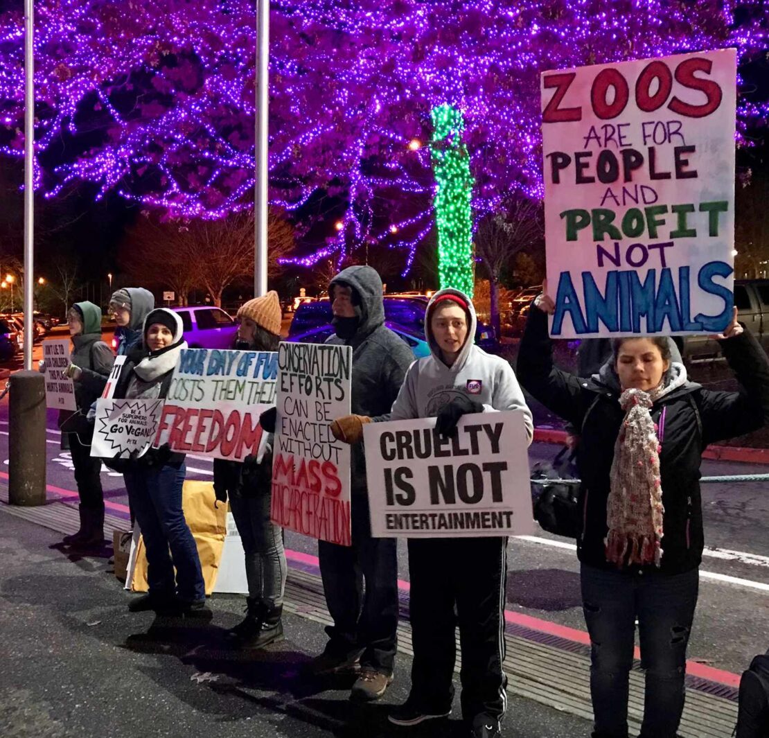 Zoo Protesters Say: "Your Entertainment Is Their Suffering!" - UnchainedTV