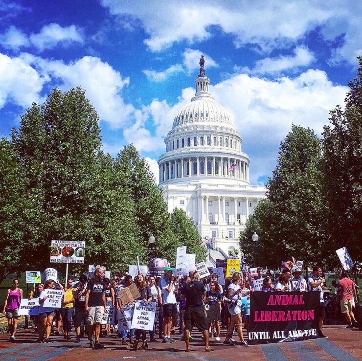 United We Stand! Official Animal Rights Marches Across the USA and the ...