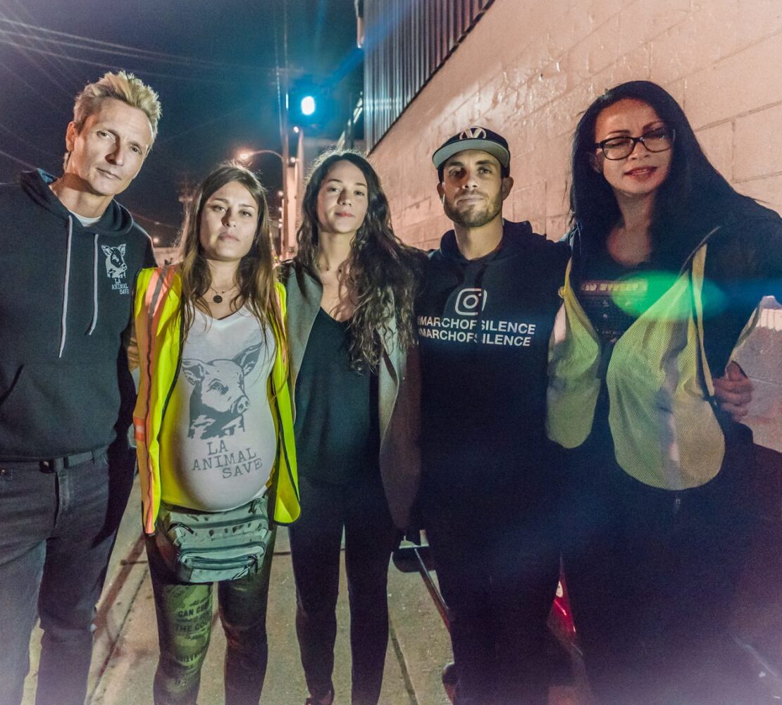 Renowned Activist James Aspey Takes Action in LA! - UnchainedTV