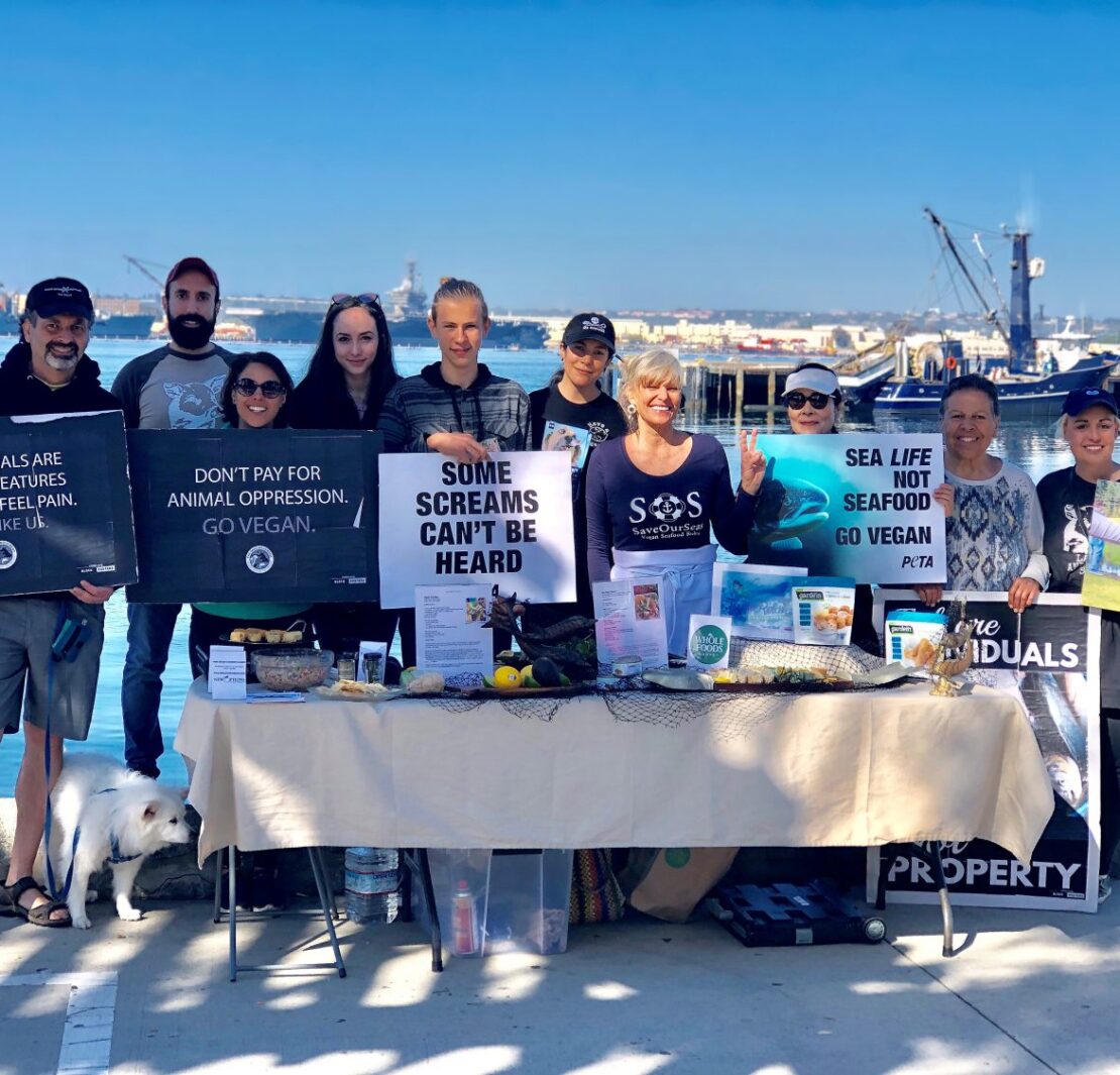 Activists Take A Stand For Sea Life In San Diego! - UnchainedTV
