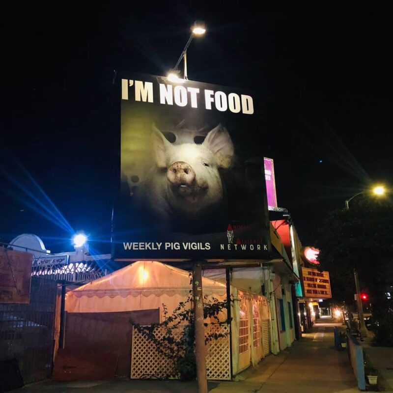 A HUGE Sign of the Times! - UNCHAINEDTV