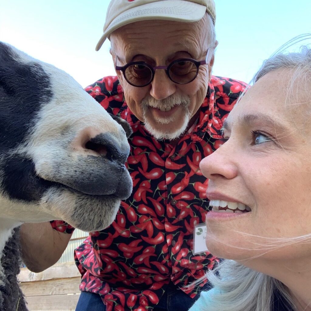 BREAKING: Tofurky Sells Its 6-Millionth Cruelty-Free Roast - UNCHAINEDTV