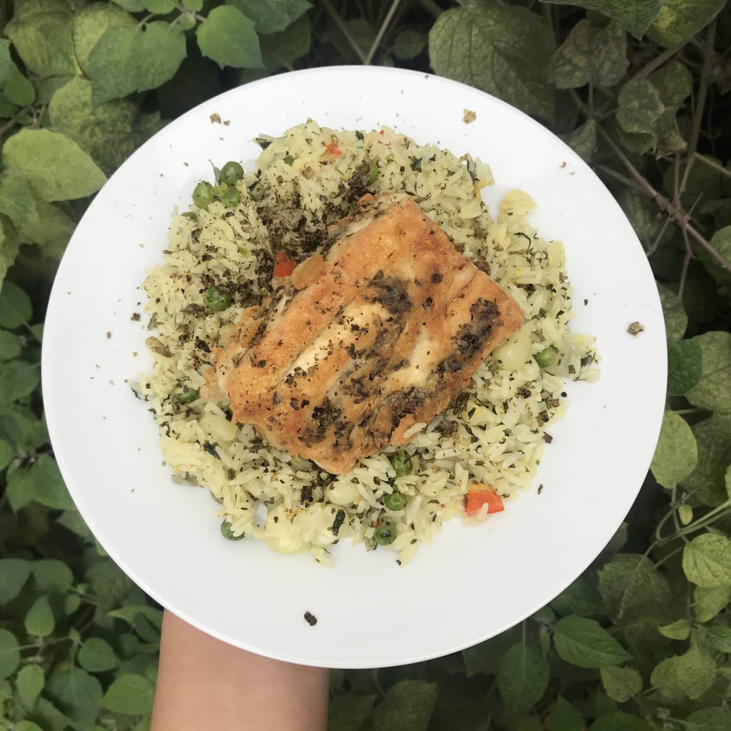 This Mind-Blowing "TOfish" Will Rock Your World! - UnchainedTV