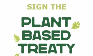 Sweet and Sour Tofu To Die For - UNCHAINEDTV