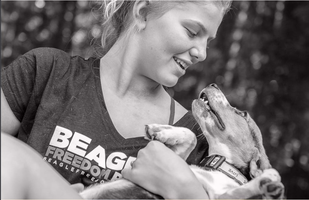 Beagles Freed from Testing Lab Taste Freedom! - UNCHAINEDTV