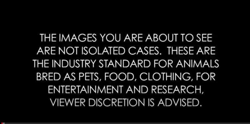 Earthlings, the Iconic Documentary that Made Vegans All Over the World ...
