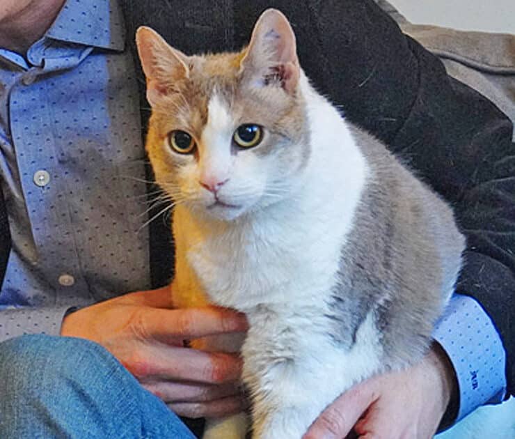 Shocking Revelations of Russian Vivisection Labs Paid by US Funds ...