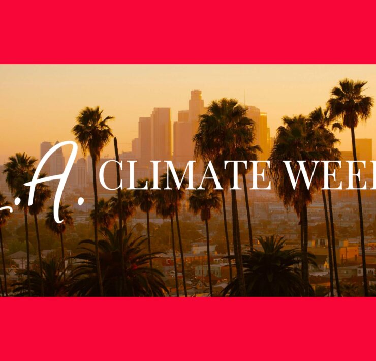 The Nutritional Supplements Industry Has a Transparency Problem ...