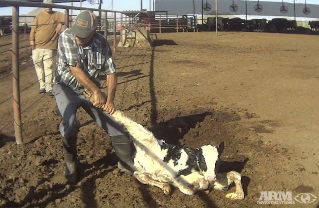 New Fairlife Scandal: Coca Cola's Billion Dollar Brand Stained by New ...