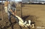 New Fairlife Scandal: Coca Cola's Billion Dollar Brand Stained by New ...
