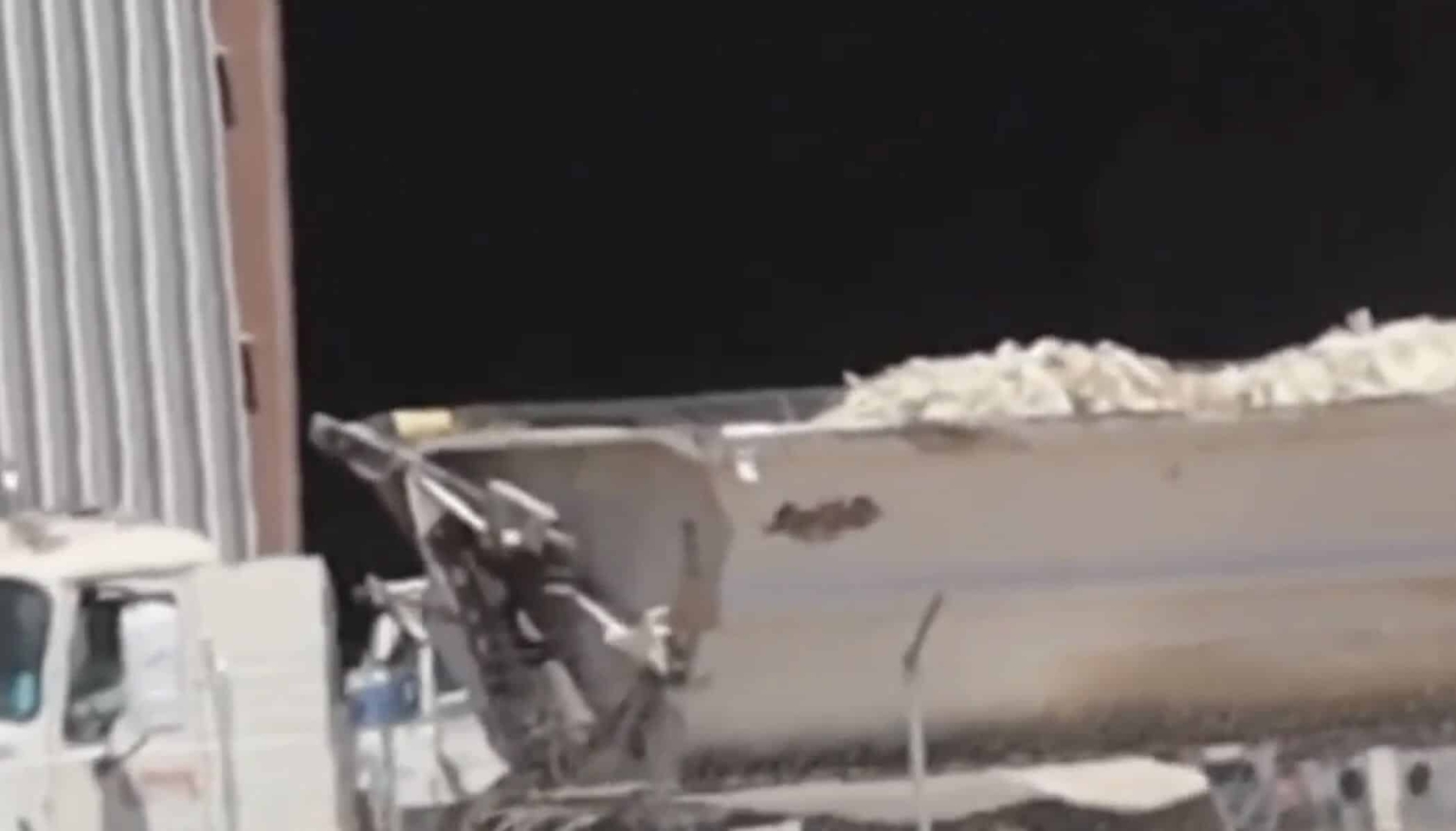 PETA to Attorney General Pam Bondi: Save the Monkeys