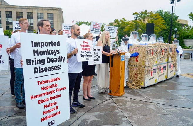 Are TB-Infected Monkeys Slipping Into U.S. Labs? - UNCHAINEDTV