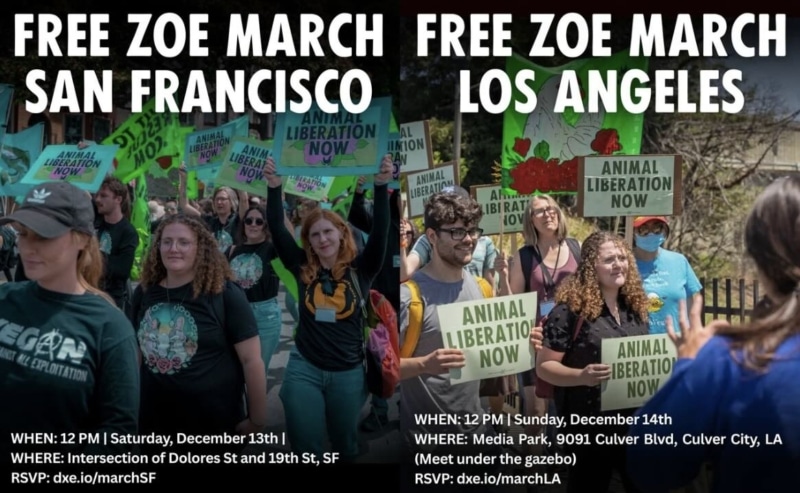 Zoe Rosenberg Sentenced to 90 Days after Rescuing Chickens. Hear Her ...